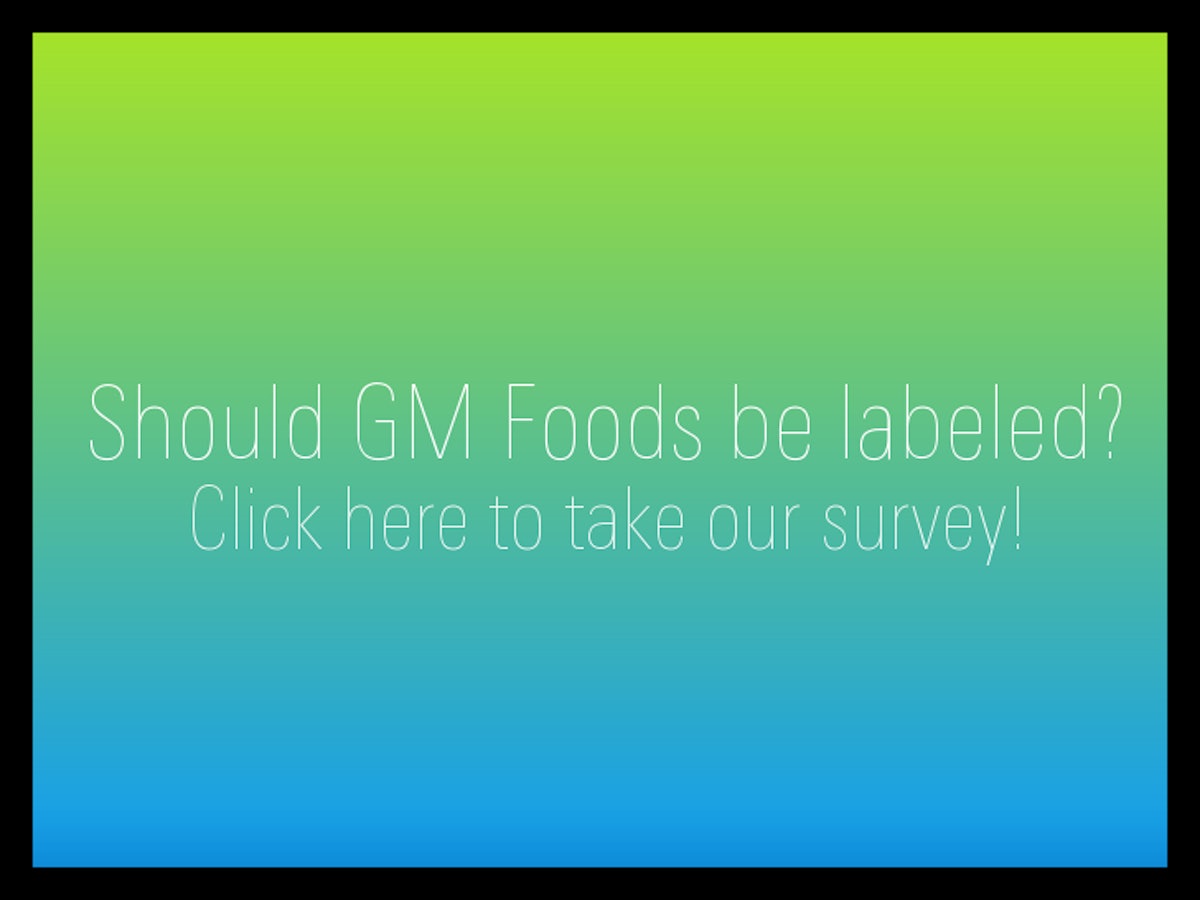 Should Genetically Modified Food Be Labeled?–What Do YOU Think? | Food ...