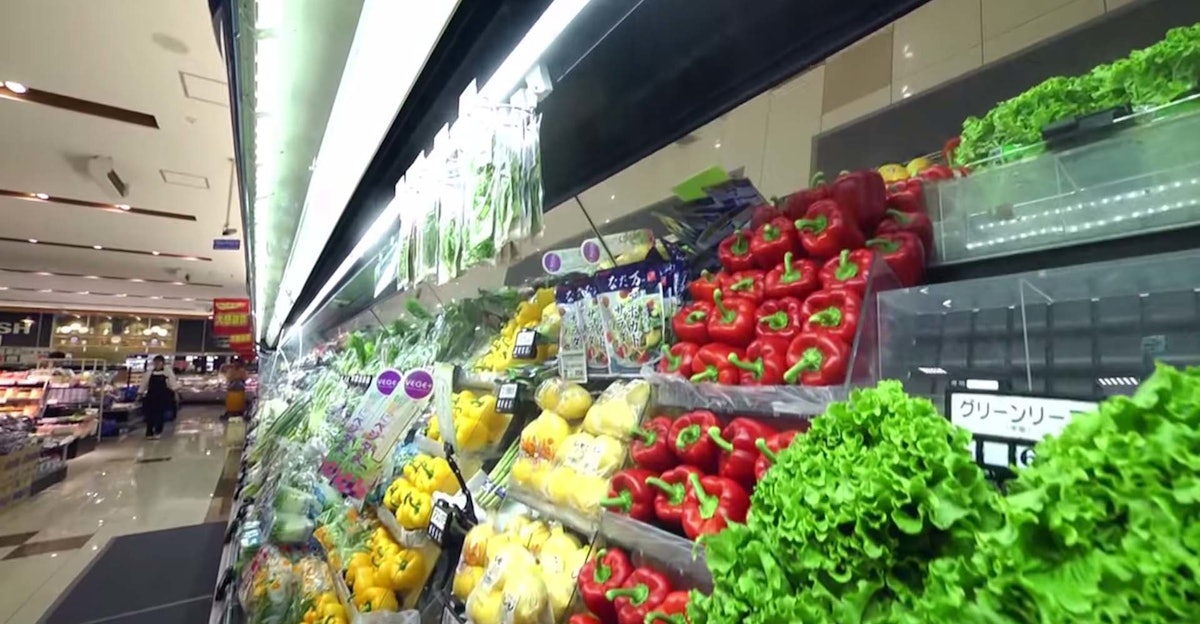 Panasonic Touts Its Eco-Conscious Cold Chain Solutions | Food Logistics