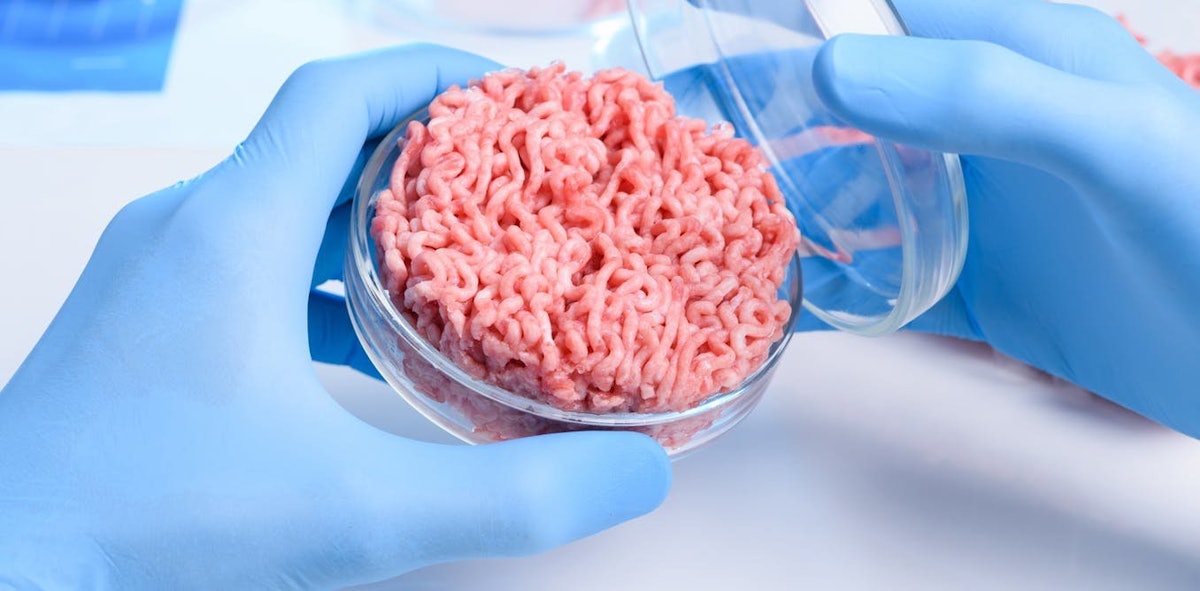Studies Show Americans Willing to Eat Lab Grown Meat | Food Logistics