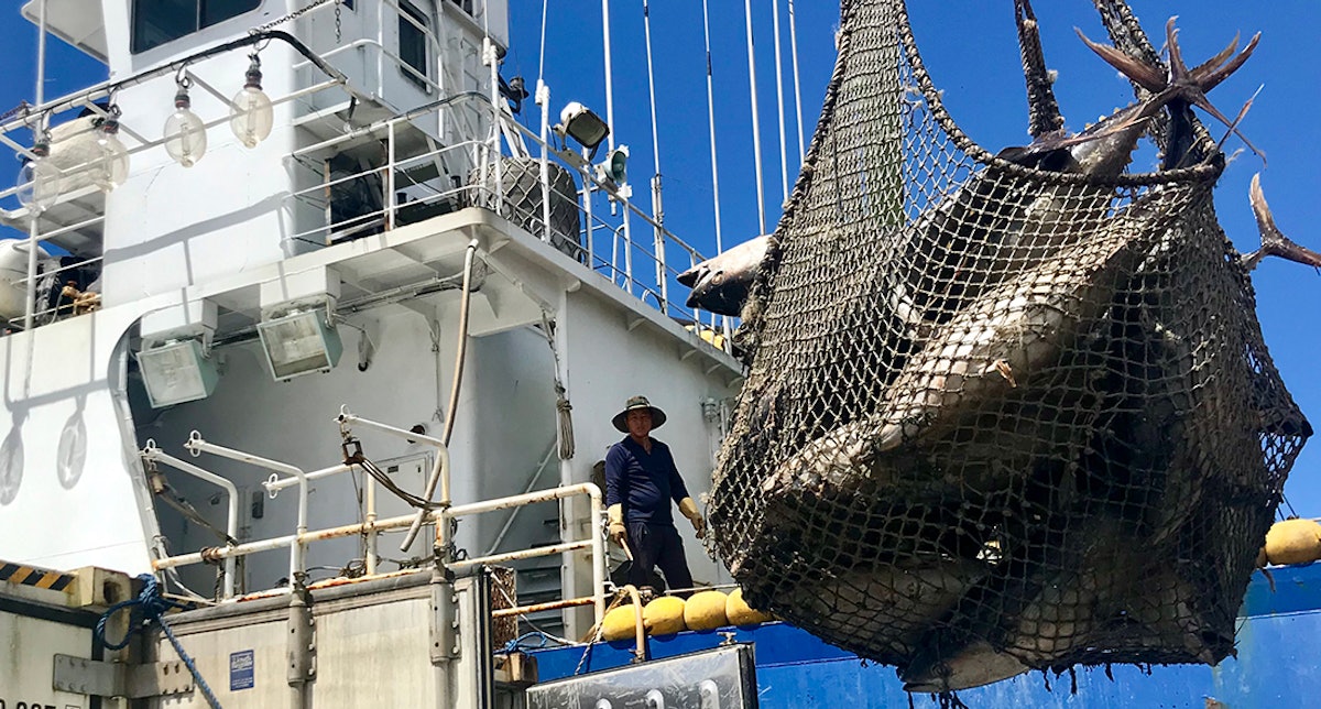 Tuna Fishery Improvement Project to Drive Improvements on Chinese ...