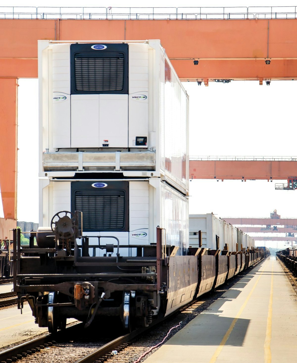 KLLM Transport Services Adopts Carrier Transicold Thin-Profile Vector ...