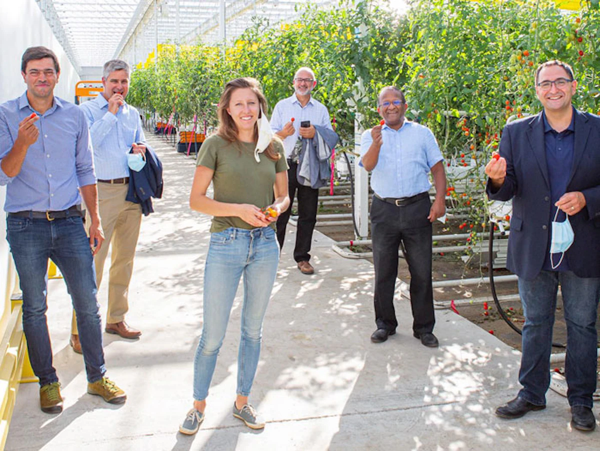 Lufa Farms Doubles its Production Capacity With the Launch of its ...