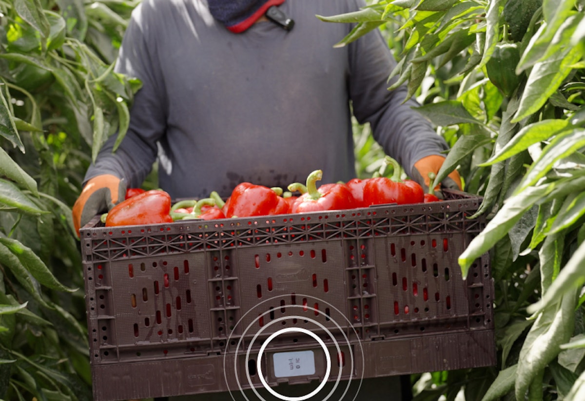 Reusable Transport Item Solution for Farm-to-Store Supply Chains | Food ...